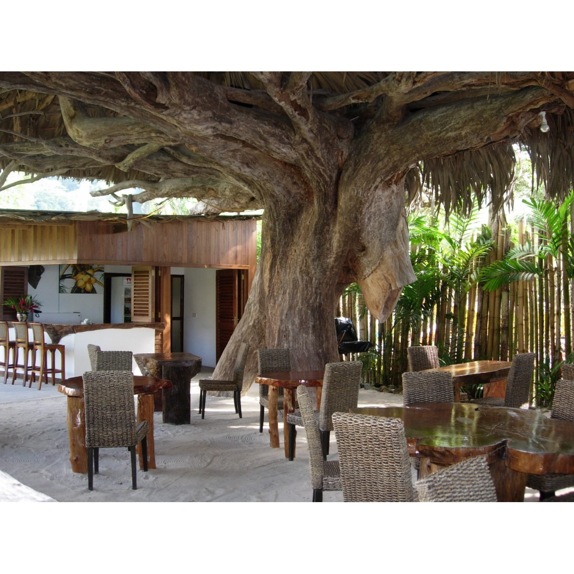 Augerine Small Hotel - Mahe - Seychelles
